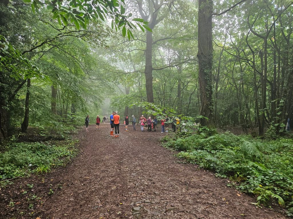 Forest of Dean parkrun event #688 7th September 2024 | Forest of Dean ...