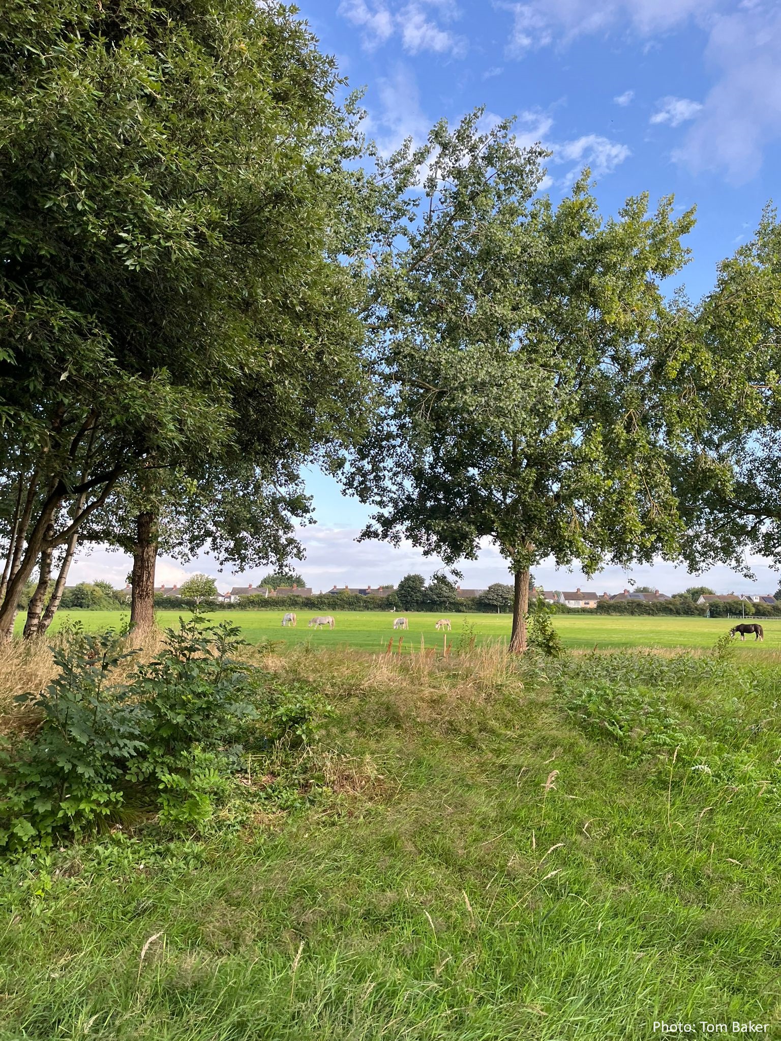 The one with no horses (finally!) | Tremorfa parkrun