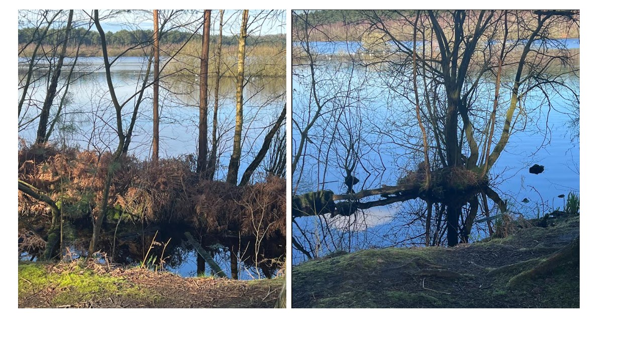 Delamere parkrun # 487, March 16th 2024 | Delamere parkrun