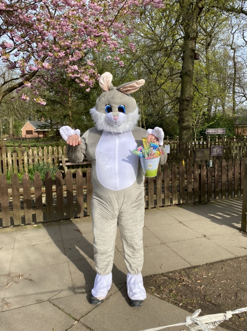 Easter bunny parkrun day! | Worden Park junior parkrun