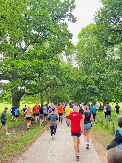 Wollaton Hall parkrun #190 – Deer enjoying a paddle | Wollaton Hall parkrun