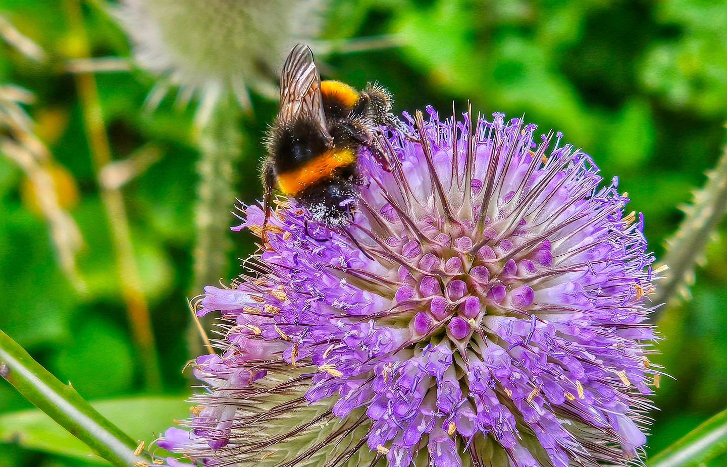 Rogiet junior parkrun 18/08/2024 | #159 | Rogiet junior parkrun