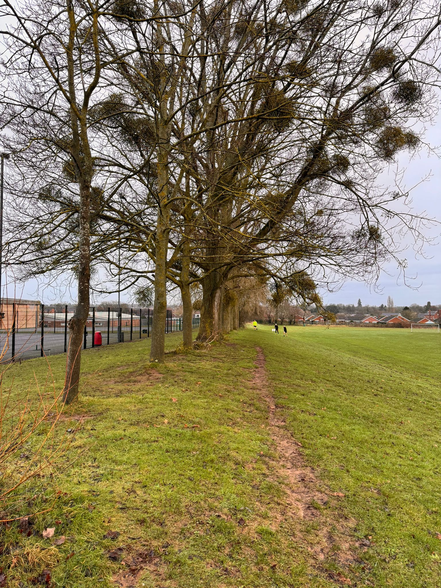 news | Newent parkrun