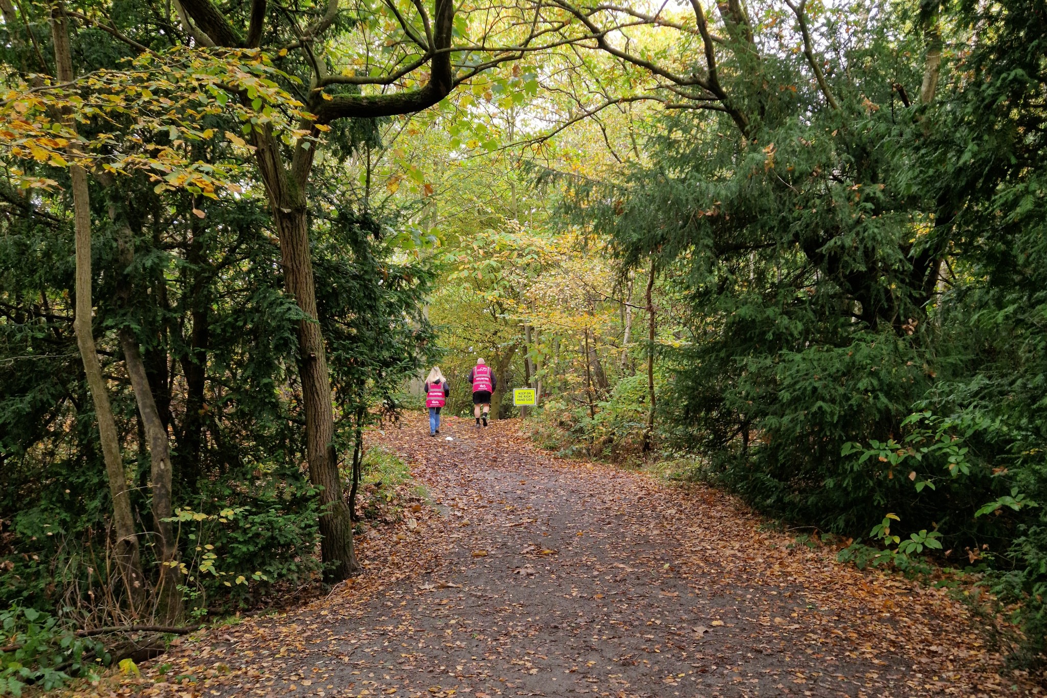 Shorne Woods parkrun – 26th November 2022 | Shorne Woods parkrun