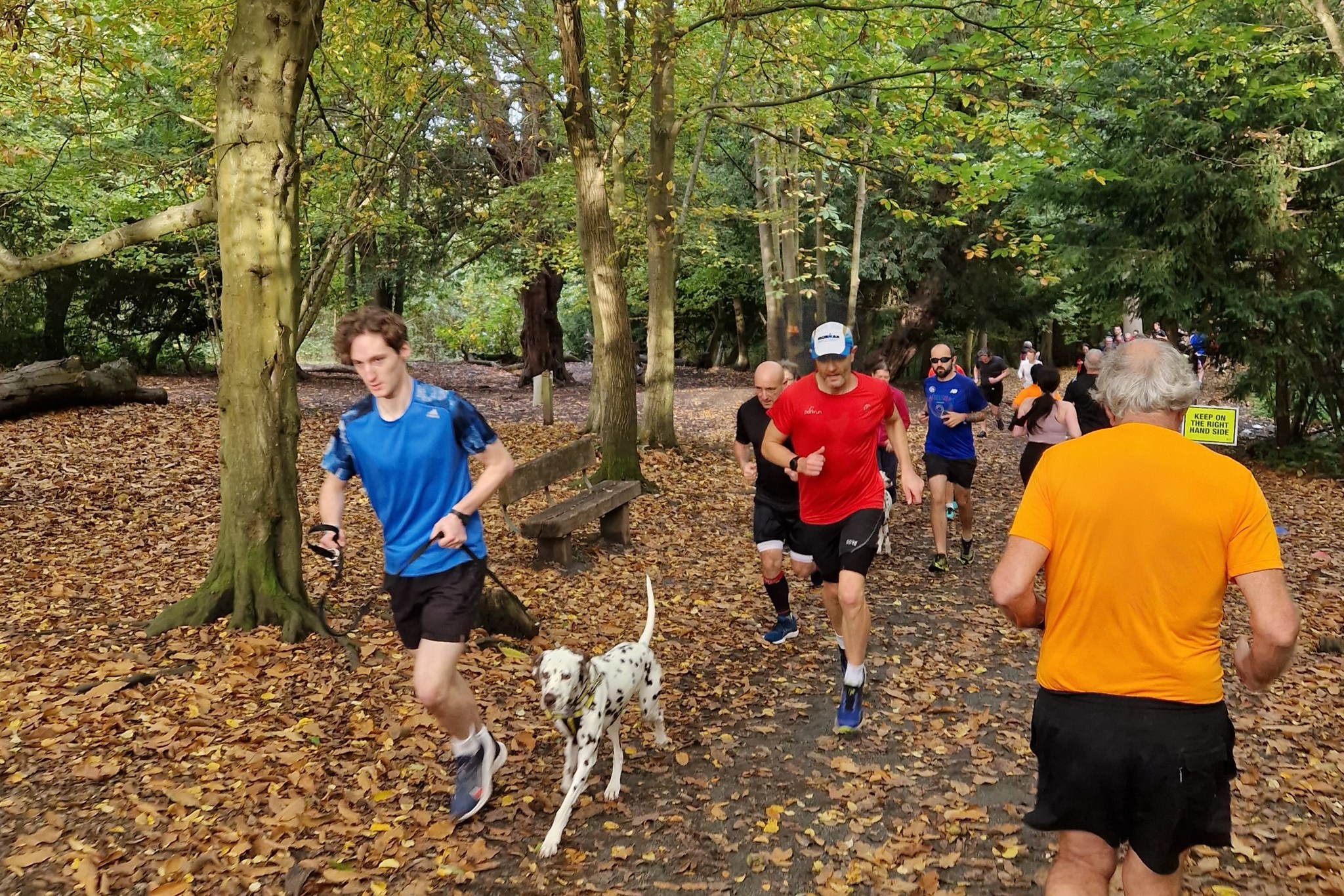 Shorne Woods parkrun – 22nd October 2022 | Shorne Woods parkrun