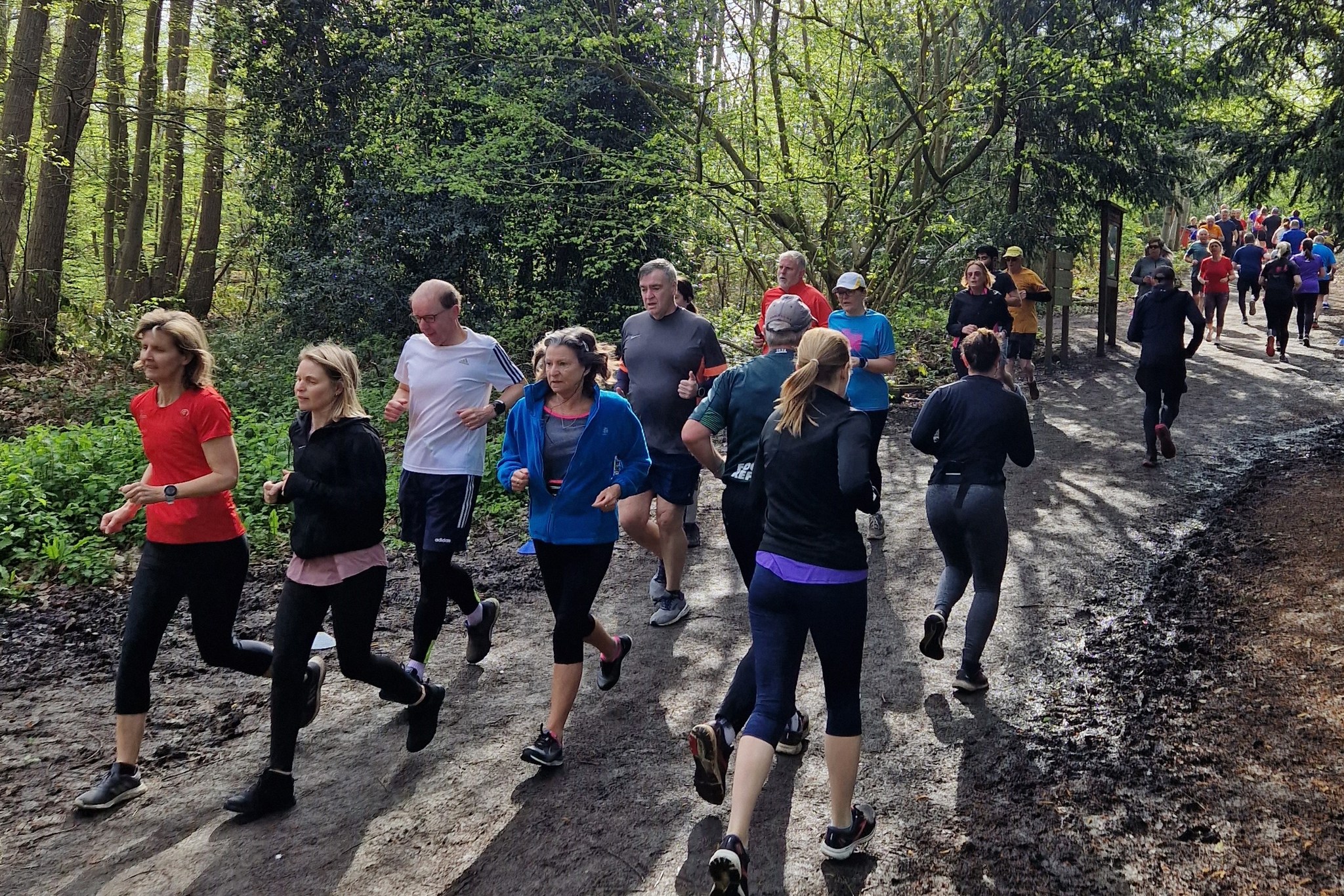 news | Shorne Woods parkrun