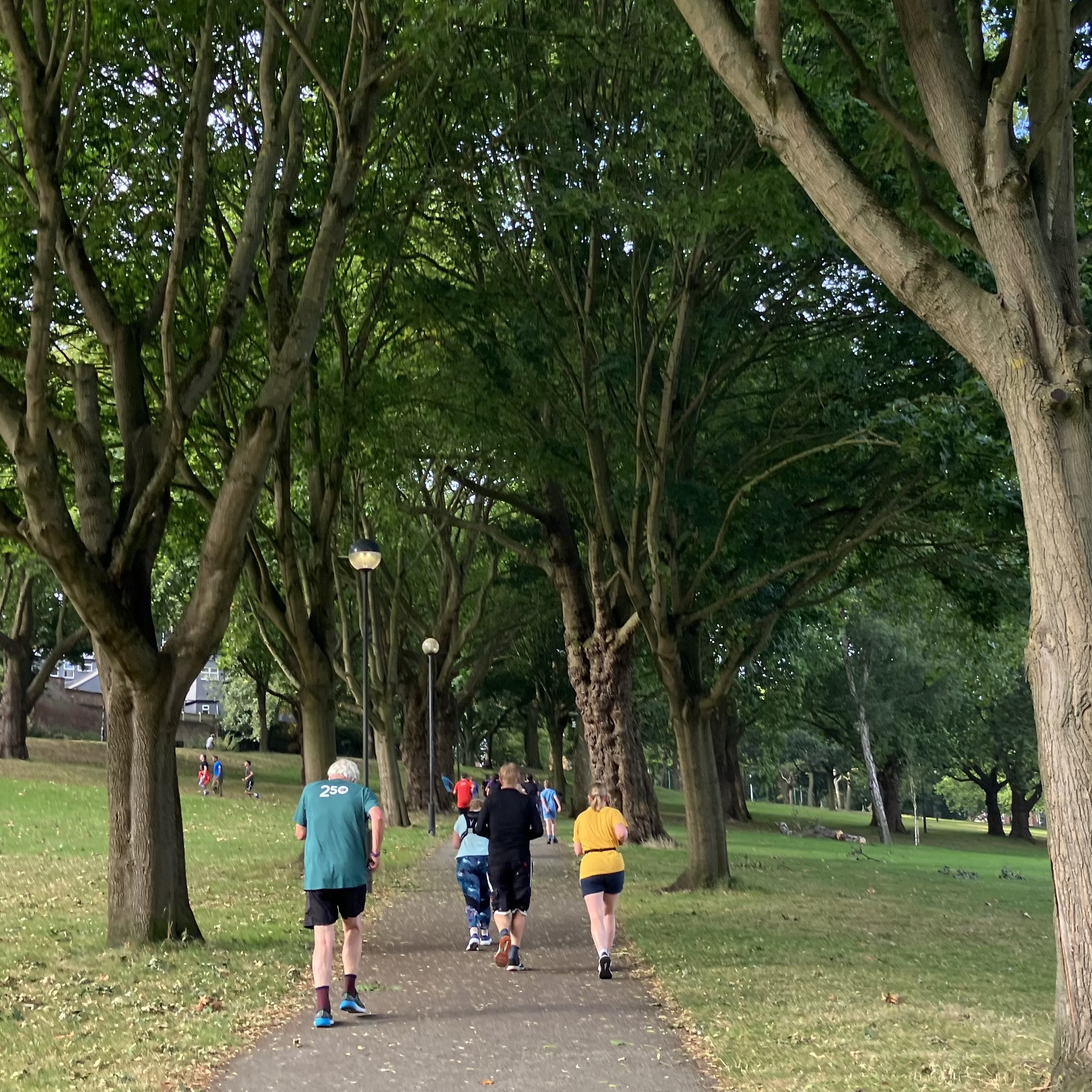 news | Forest Rec parkrun