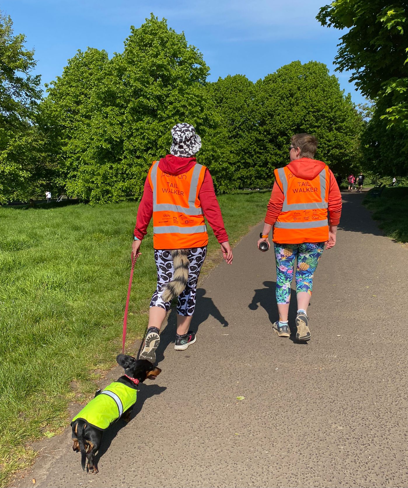 news | Brighton & Hove parkrun