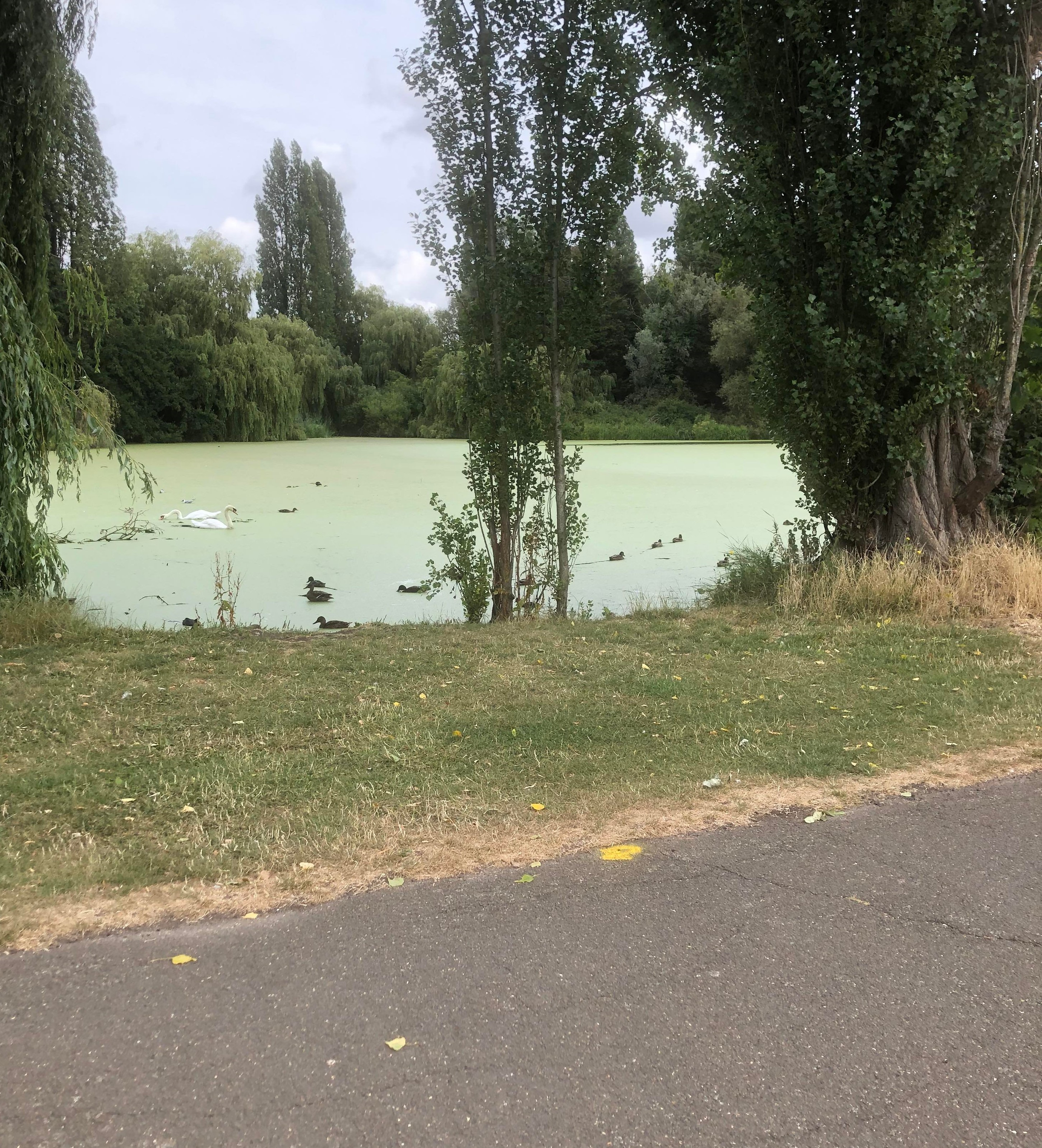 Duncan’s Gate slight route change | Colchester Castle parkrun