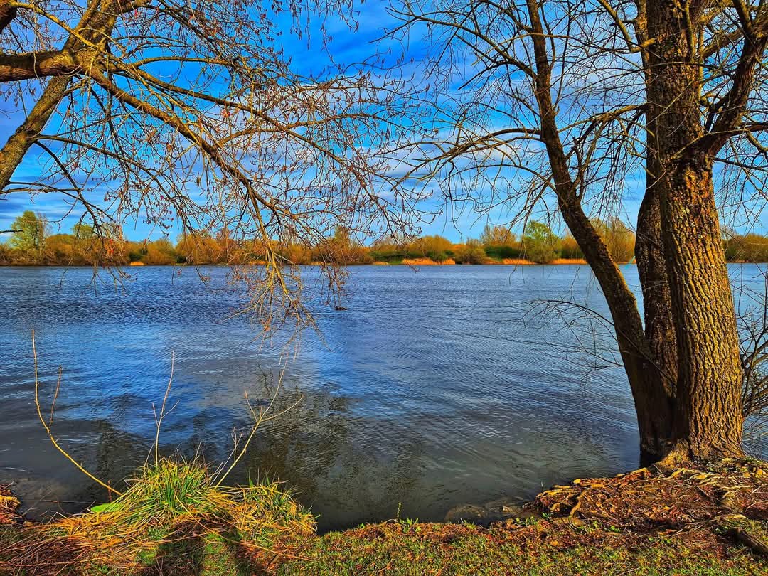 Watermead Country Park parkrun – Run/Event Report #164 (12.4.25 ...