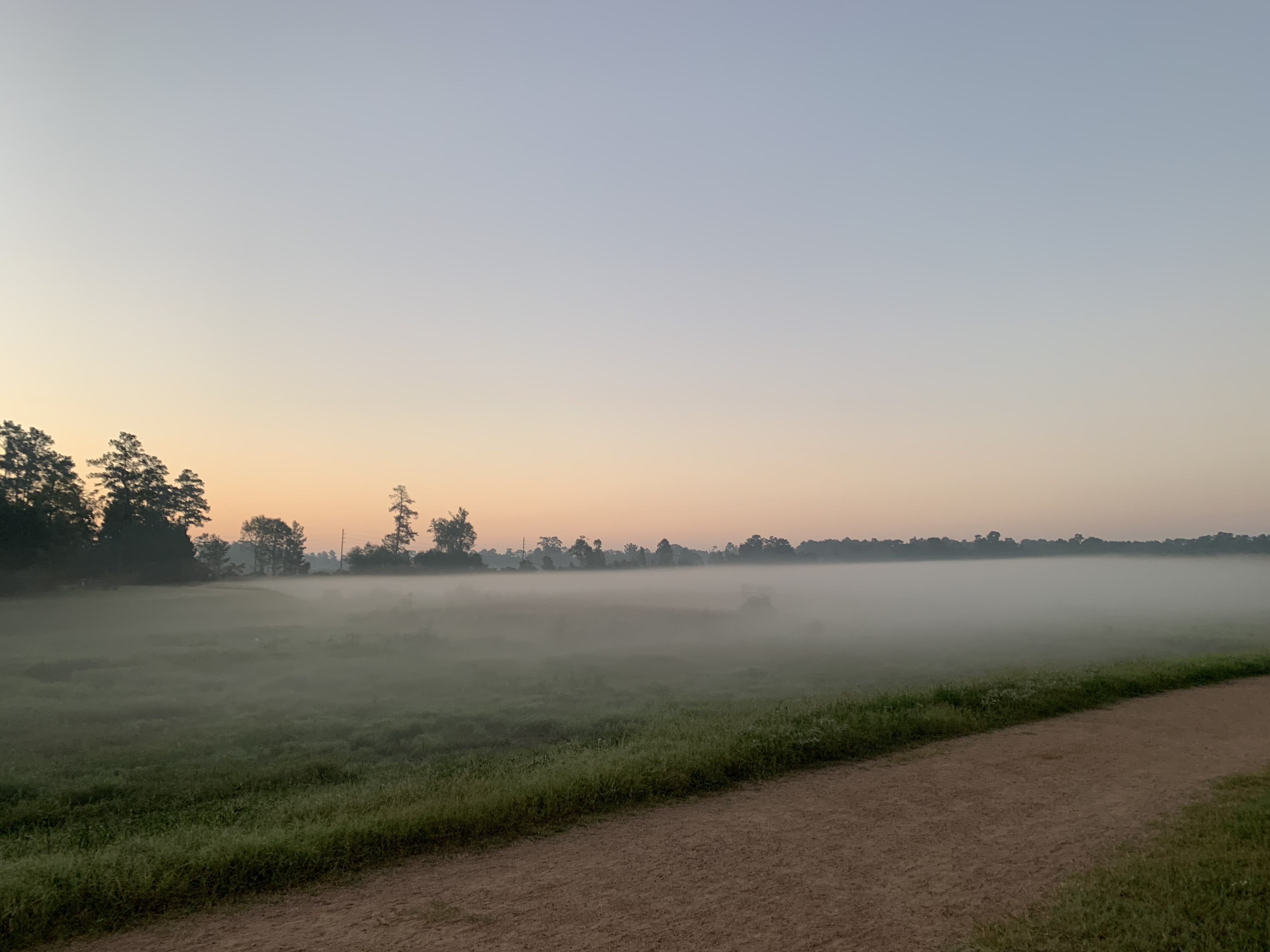 Event 36 – 24th September 2022 | Spindle Tree parkrun