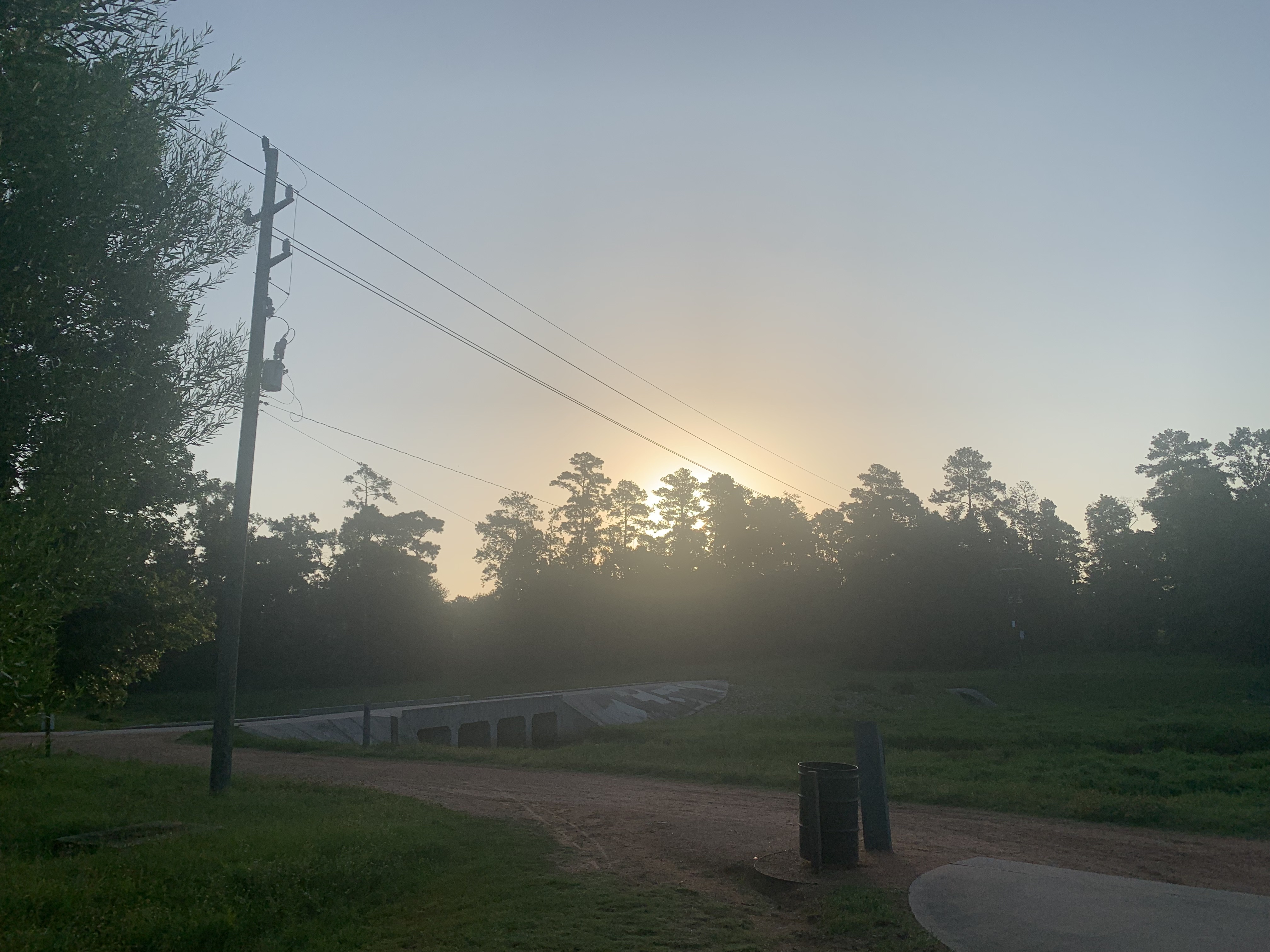 Event 129 – 29th June 2024 | Spindle Tree parkrun