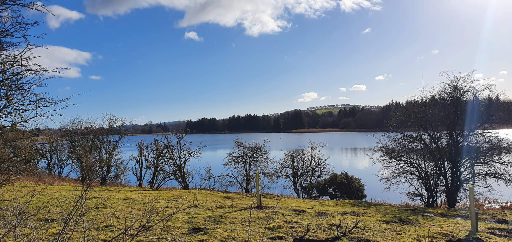 Event number 3- Saturday 5th March | Forfar Loch parkrun