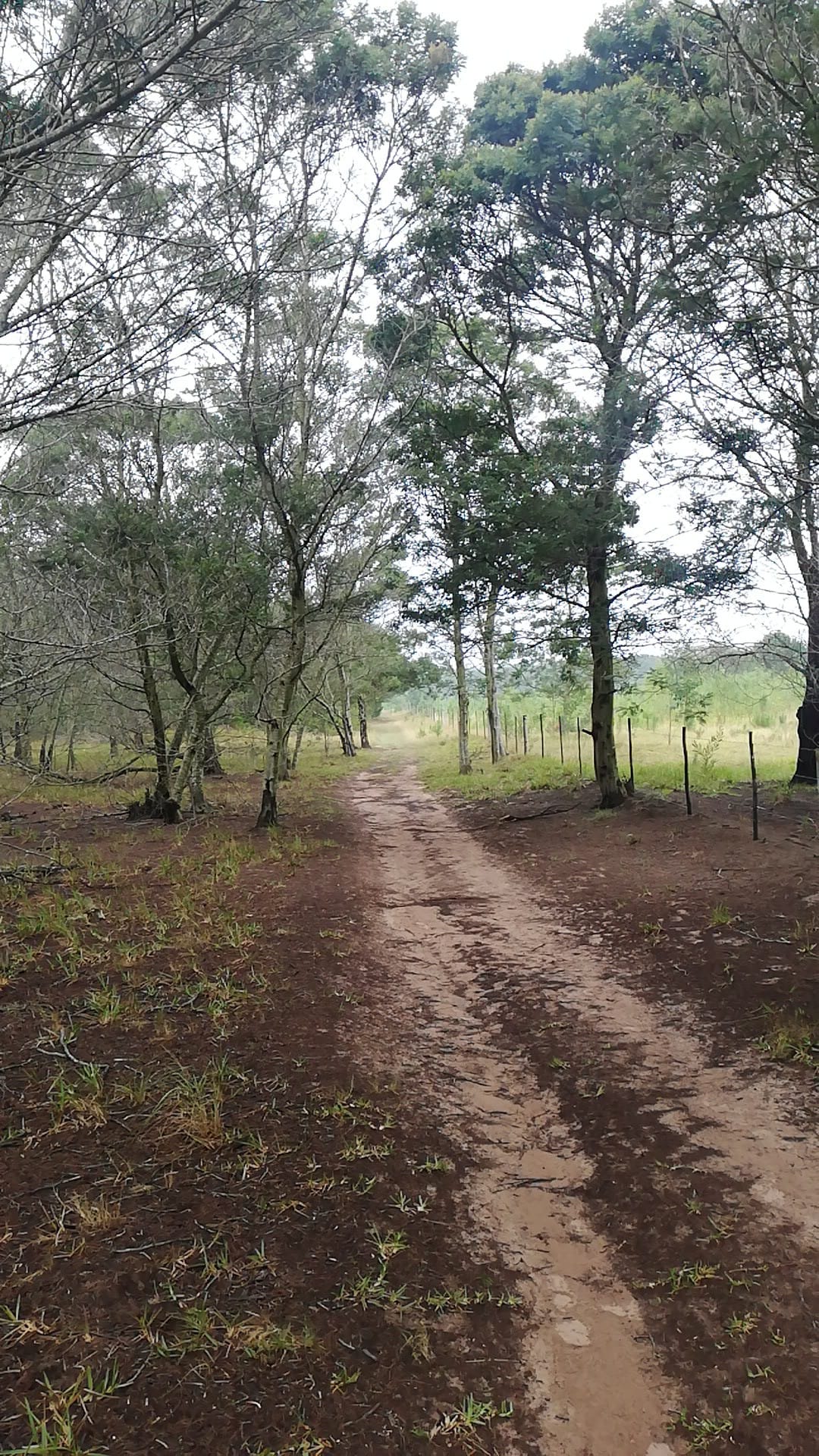 Event #11 Report | Norm-Hudlin Trails parkrun