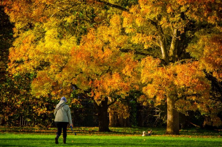 University Parks parkrun #192 – 01/11/25 | University Parks parkrun