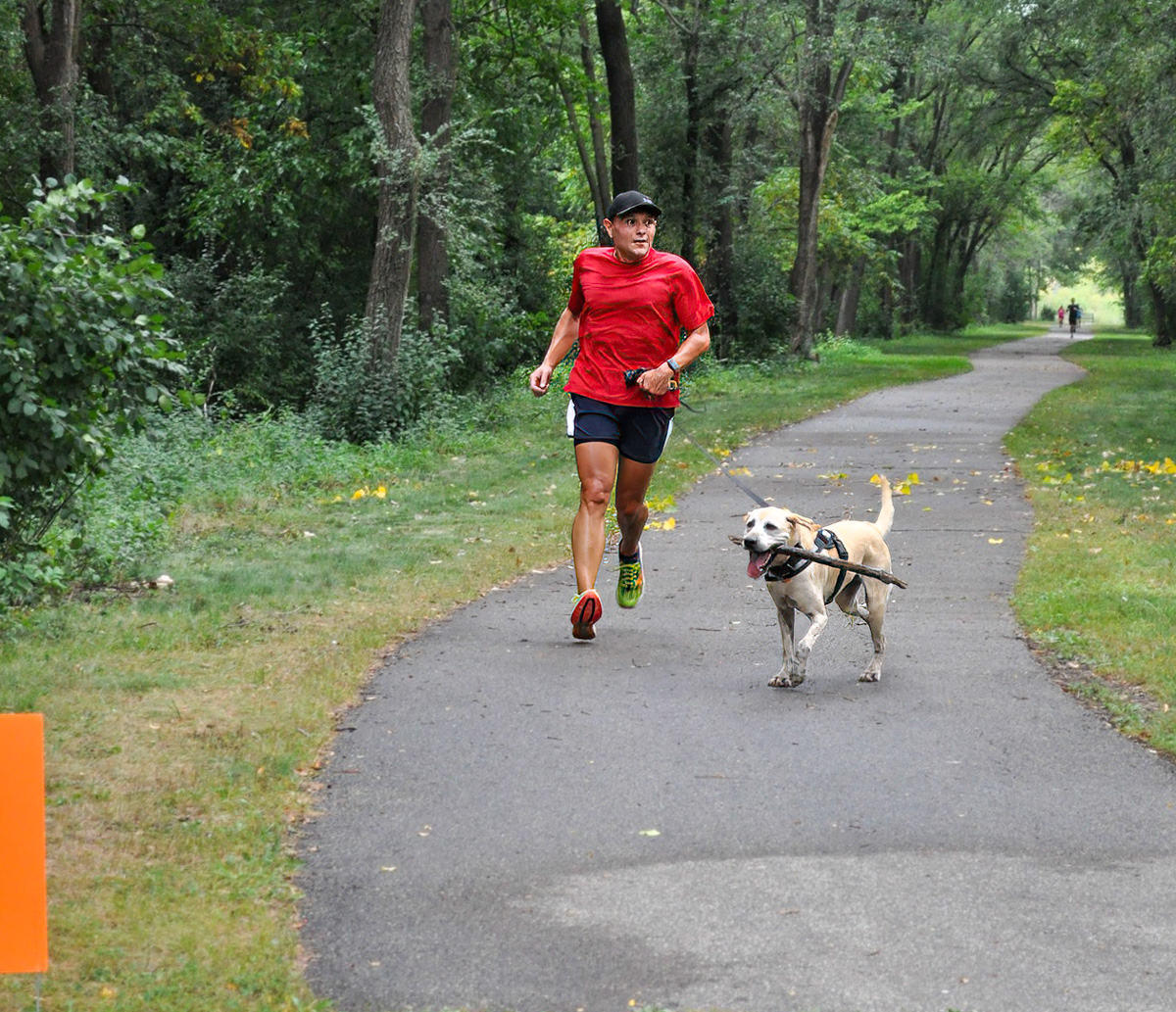 news | Hamlet Park parkrun