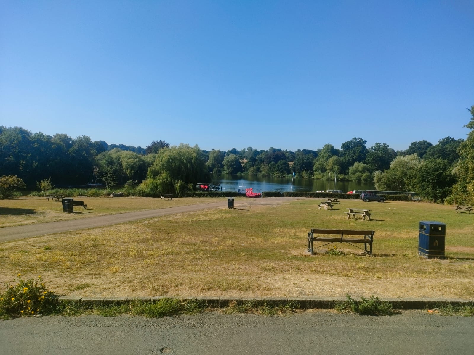 What a Scorcher! | Mote Park parkrun