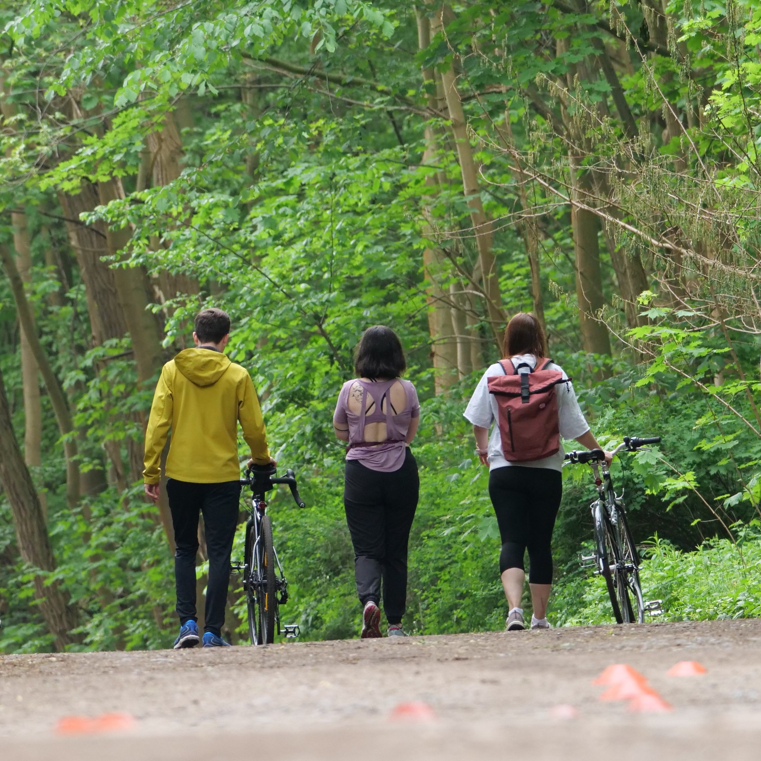Report: Prießnitzgrund parkrun #96 | Prießnitzgrund parkrun