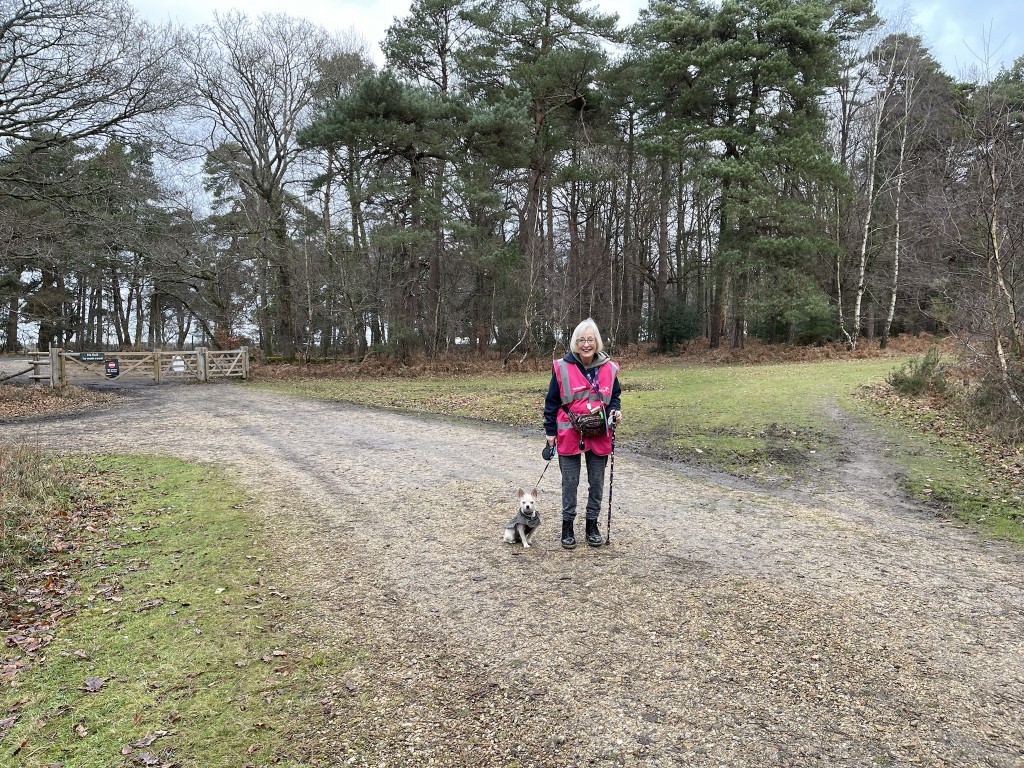 Marshal 3 has tested positive for COVID | Brockenhurst parkrun