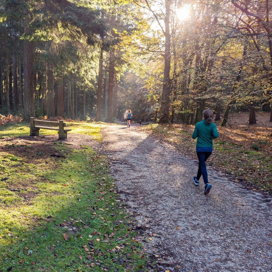 Brockenhurst parkrun #405 – 19th November 2022 | Brockenhurst parkrun