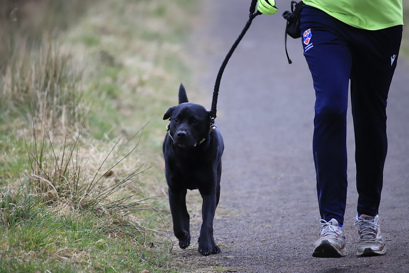 news | Palacerigg Country parkrun