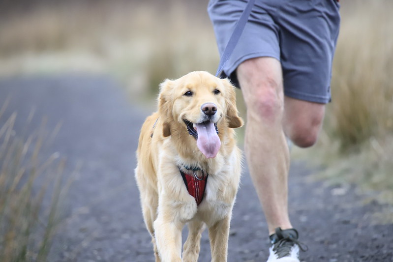 news | Palacerigg Country parkrun