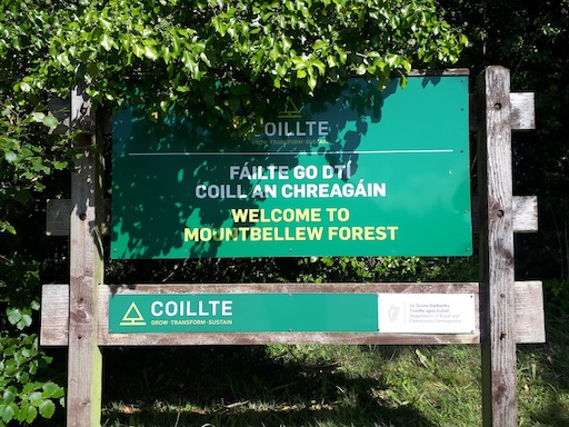 course | Mountbellew Forest parkrun