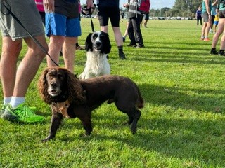 Ganger Farm parkrun Run Report Event #46 | Ganger Farm parkrun