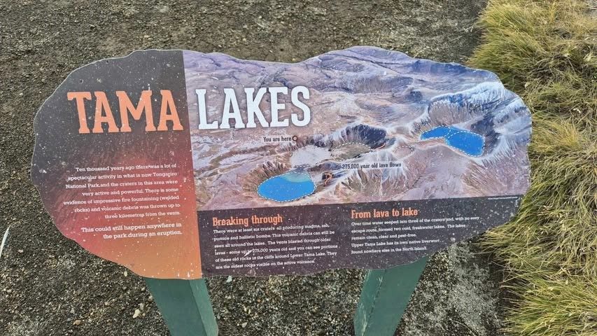 Reporting from Tama Lakes Track – Ara Harakeke parkrun Event 118 – 8 ...