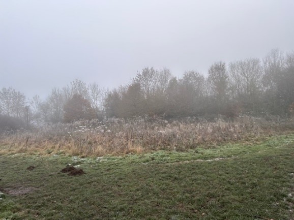 Event 49 | Market Bosworth Country Park parkrun