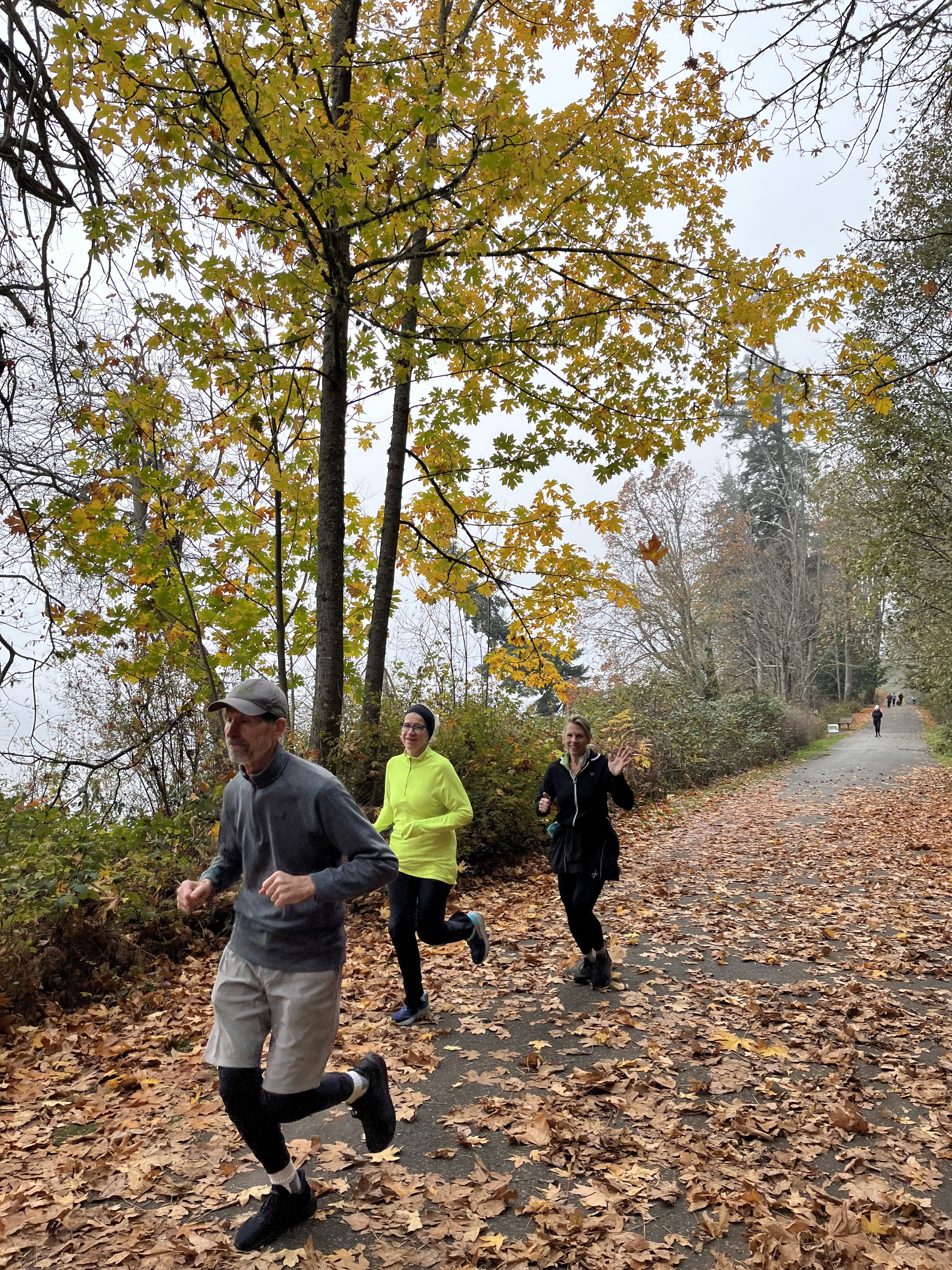 Run Report #46 – 18 Nov 2023 | Fort Ward parkrun