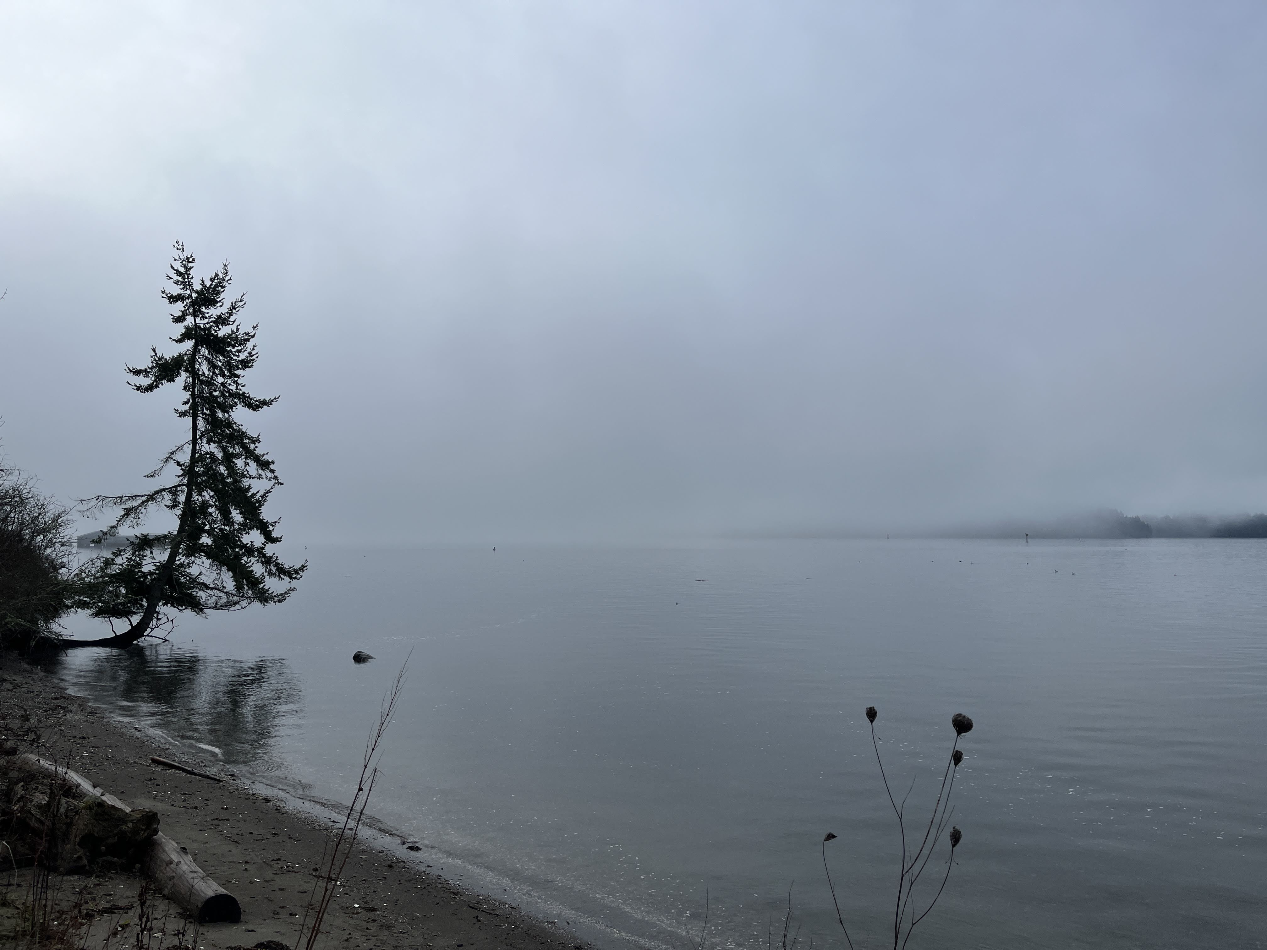 Run Report #57 – 3 Feb 2024 | Fort Ward parkrun