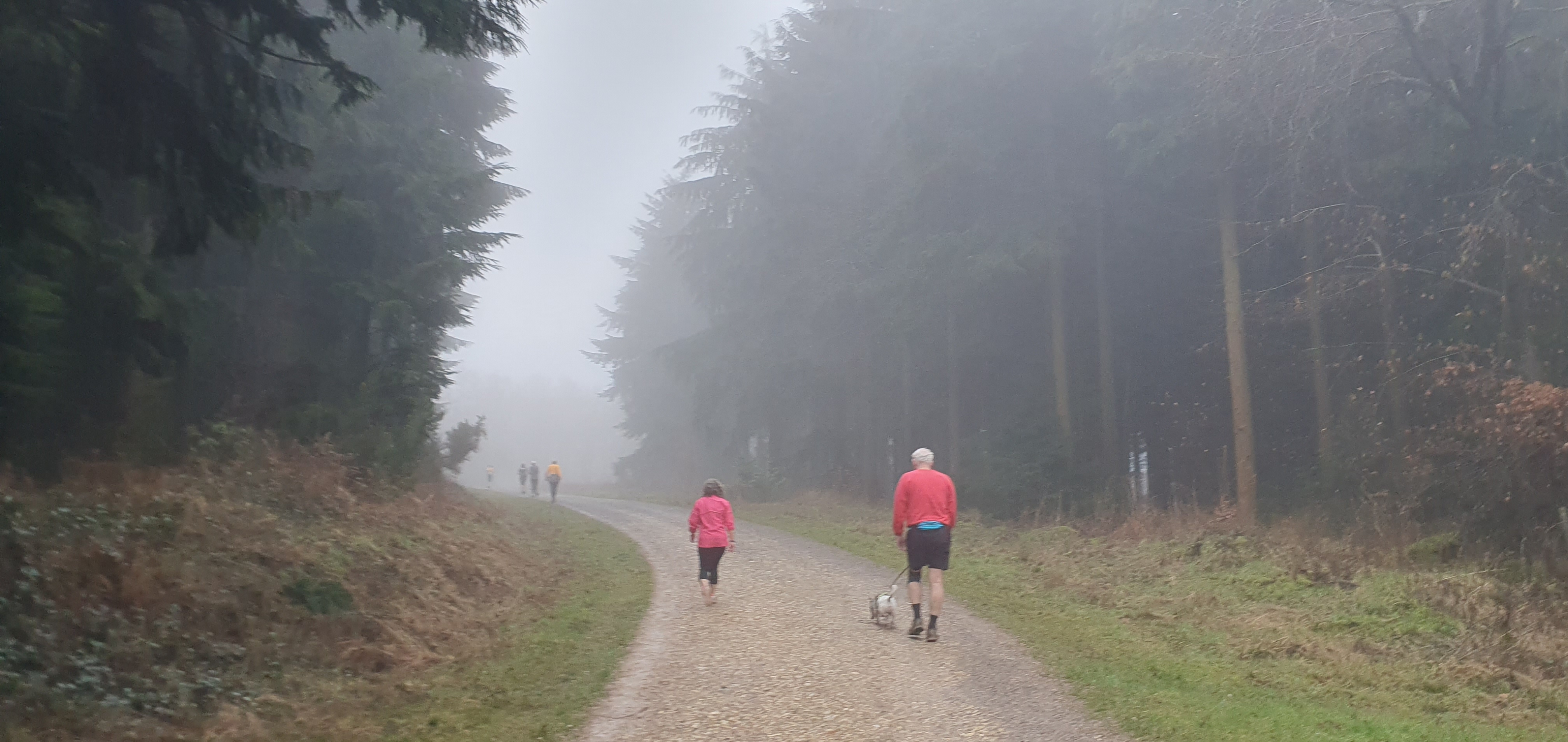 Happy 500th birthday !! – By Isla Jackson | Queen Elizabeth parkrun