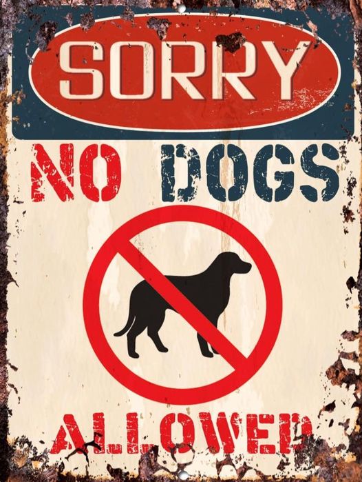 So sorry, unfortunately NO dogs allowed | Zastron Commons parkrun