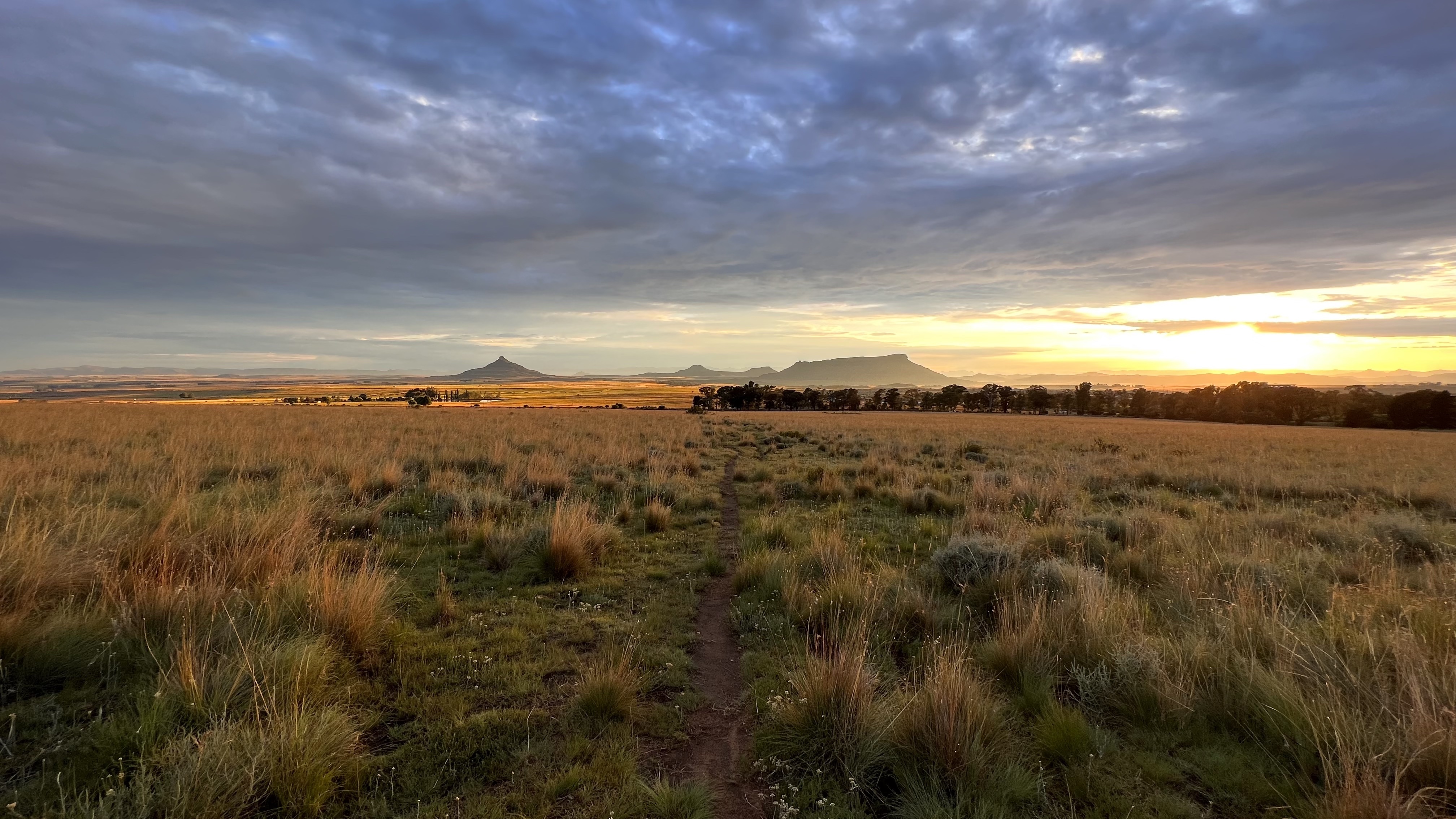 Event Report for Zastron Commons parkrun #1 – 21 January 2023 | Zastron ...