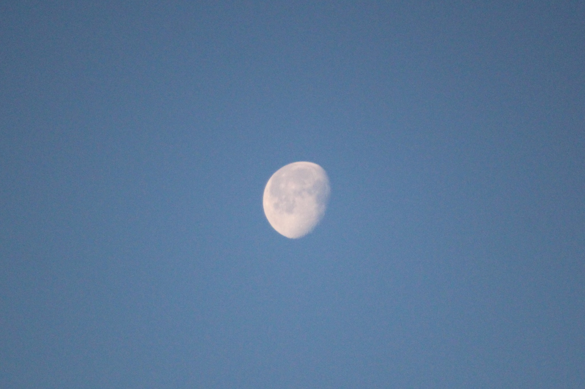 Event 51 – 12th May 2024 – Numbers growing! | Hutton Recreation Ground ...