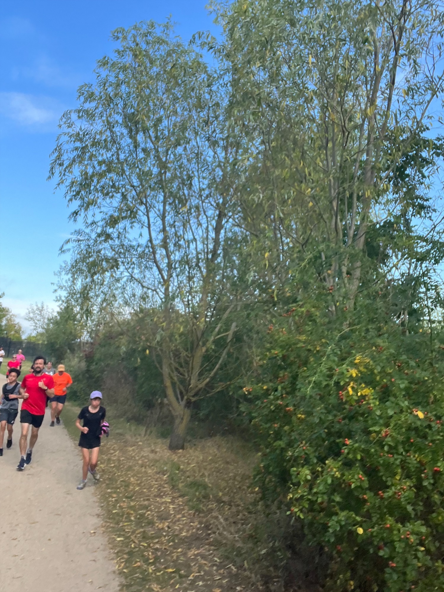 Thames Path Parkrun Report – Saturday 26th August | Thames Path parkrun, Woolwich