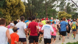 Sandgate parkrun #108 – 13th December 2014 | Sandgate parkrun