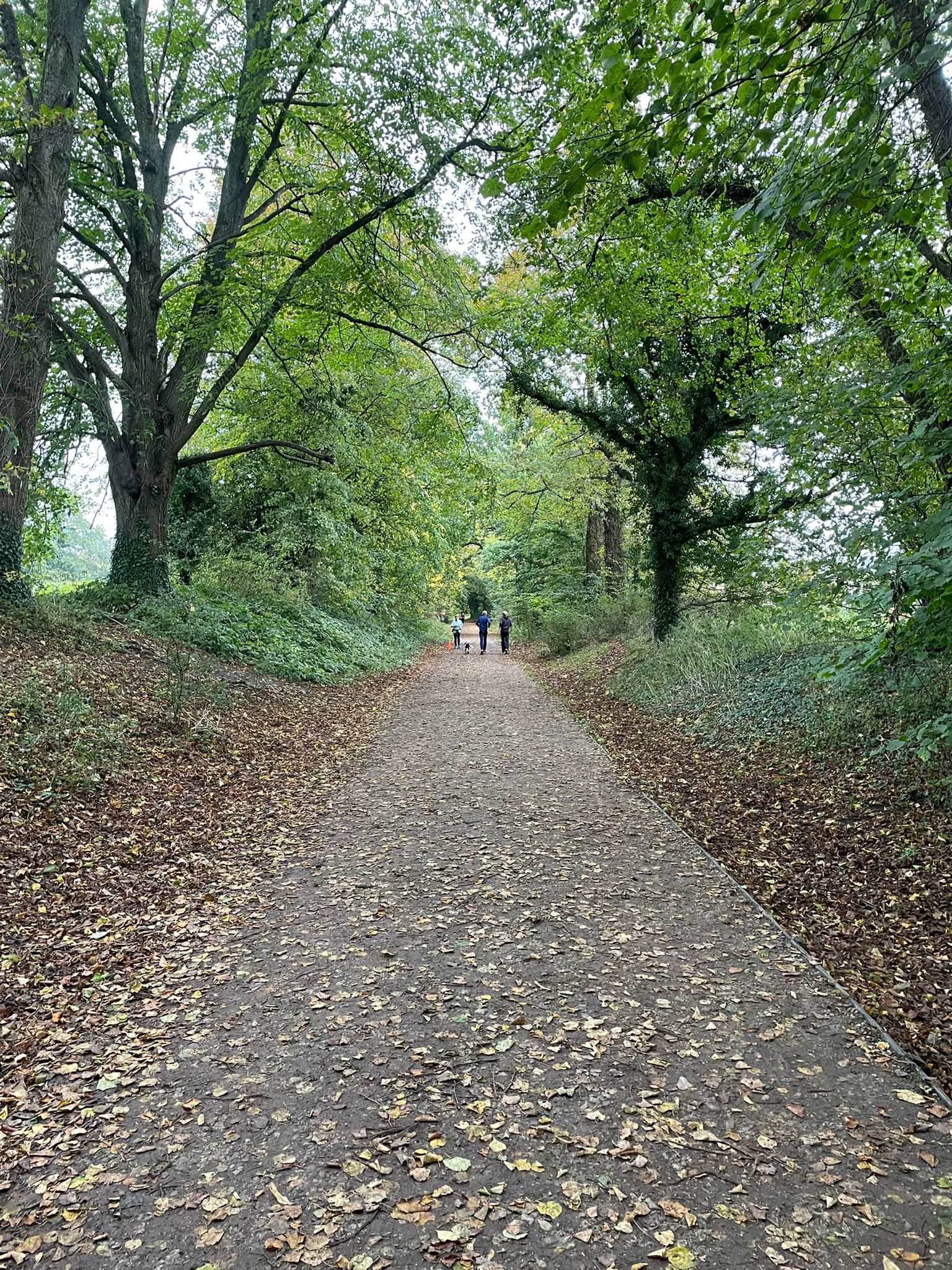 QUAKERS WALK RUN REPORT EVENT #51 pt2 12-10-24 | Quakers Walk parkrun