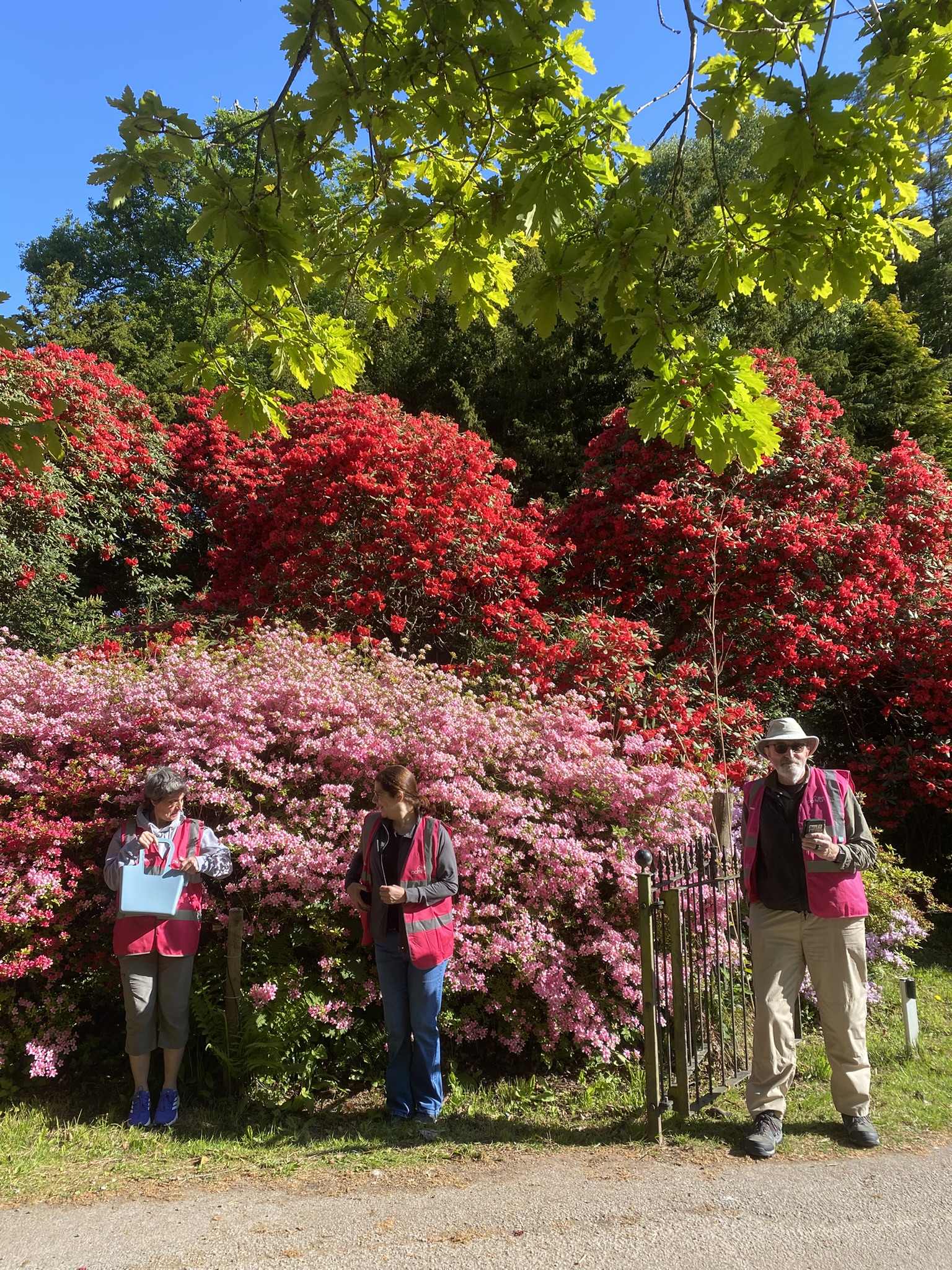 Muncaster Castle parkrun Event #78 10/05/25 | Muncaster Castle parkrun