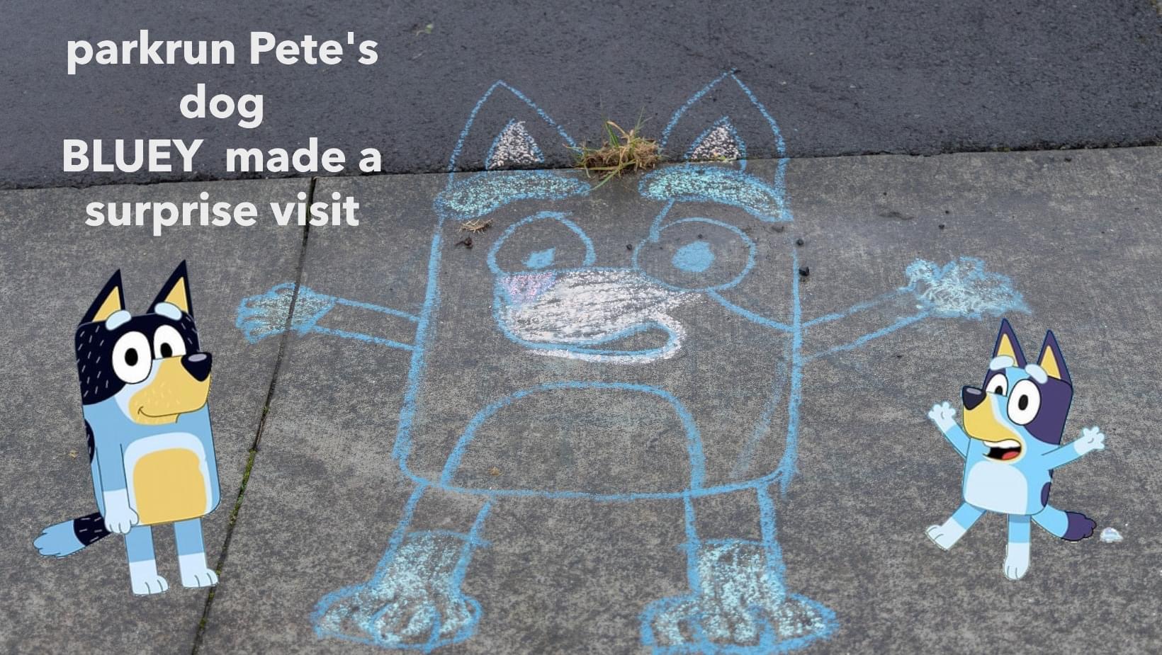 Northern Pathway parkrun – Event #42 – 24th August 2024 | Northern ...