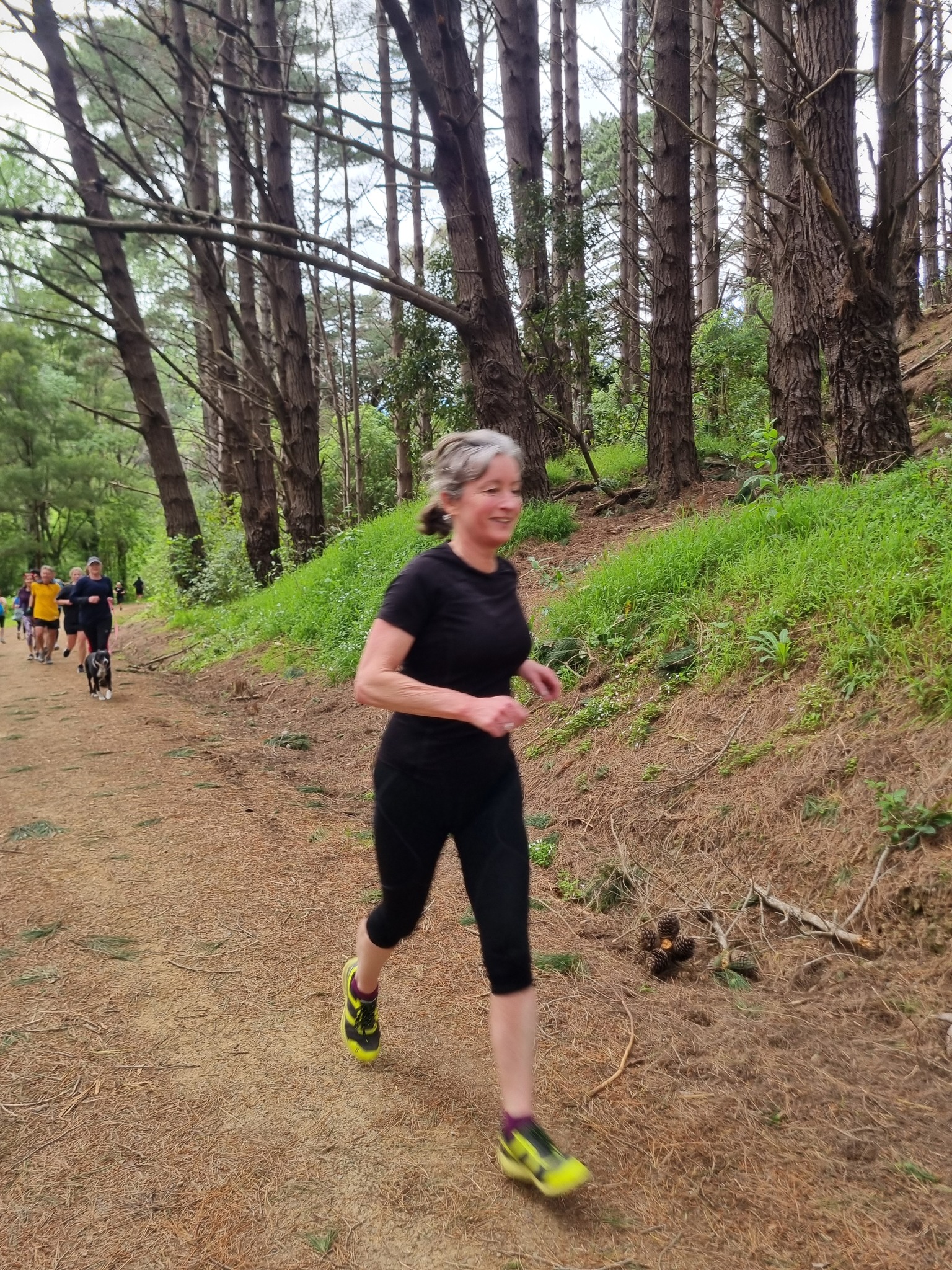 Journey to 500 Parkruns with Andrew Gray – who said it was boring ...