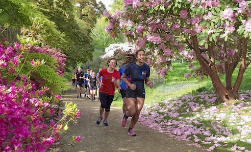 home | Wakehurst parkrun | Wakehurst parkrun