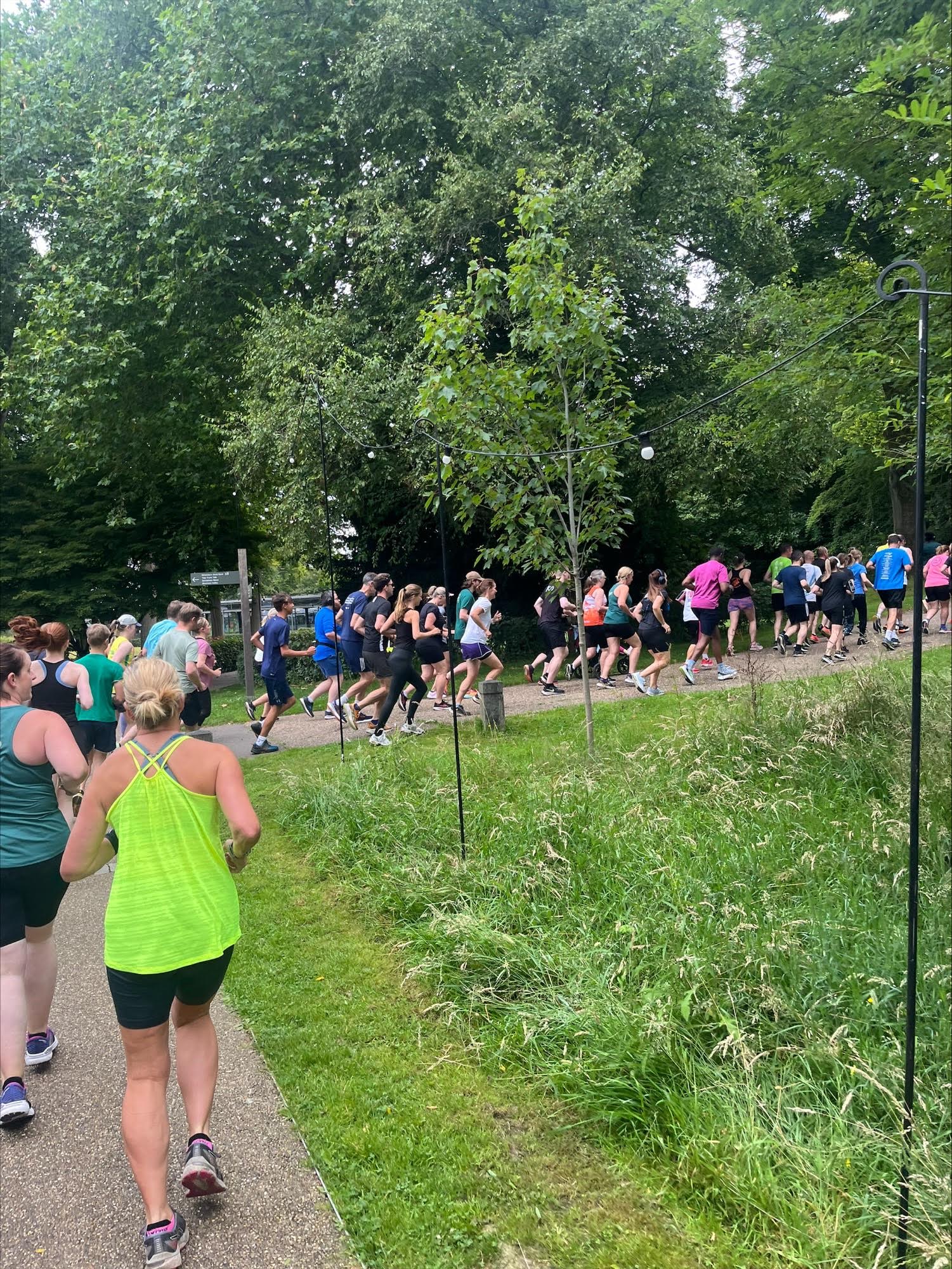 parkrun 14 – The “Oooo What Are All Those Benches?” One! | Wakehurst parkrun