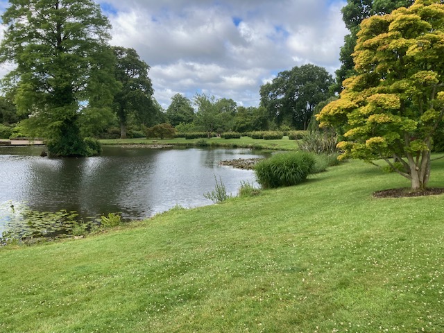 parkrun #12 – the ‘is it really July?’ one | Wakehurst parkrun