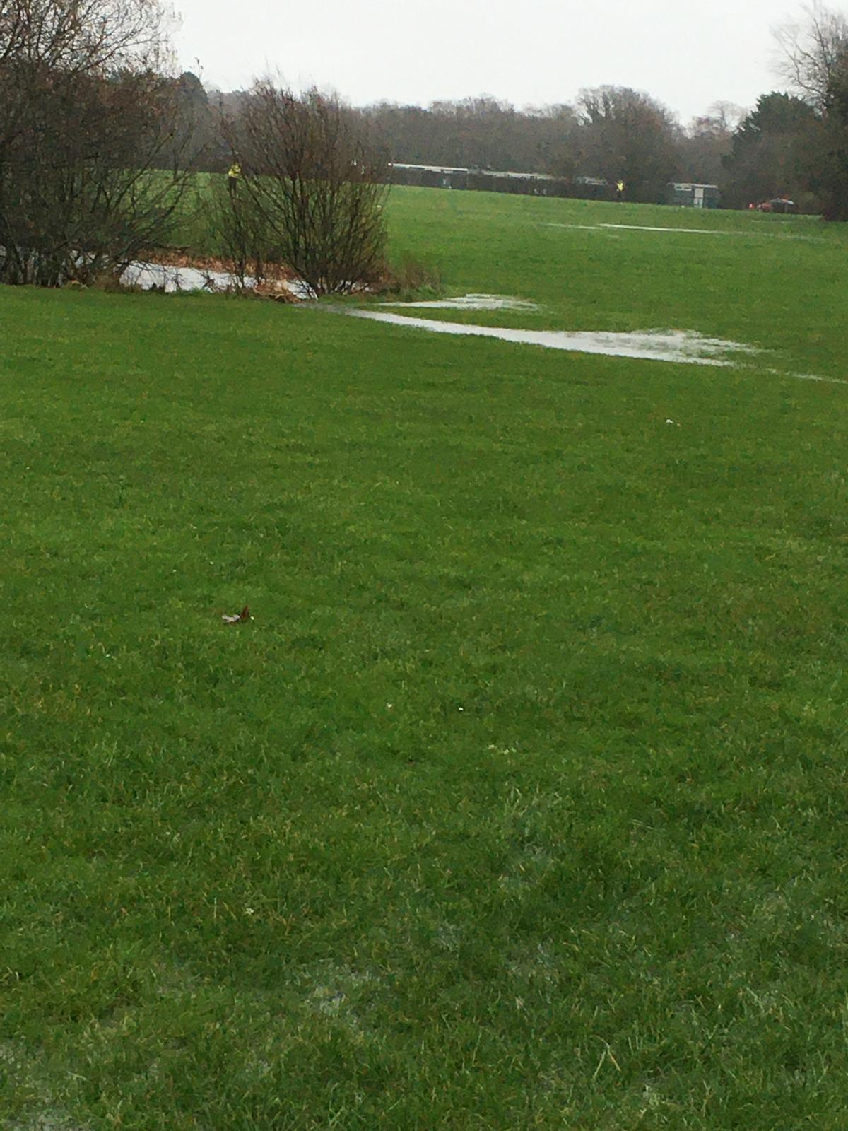 Gang Warily junior parkrun #14 – 23rd February 2025 | Gang Warily ...