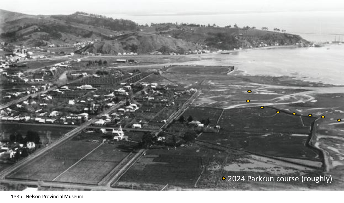 Run Report Event #7 – A run through the history of Neale Park | Neale ...