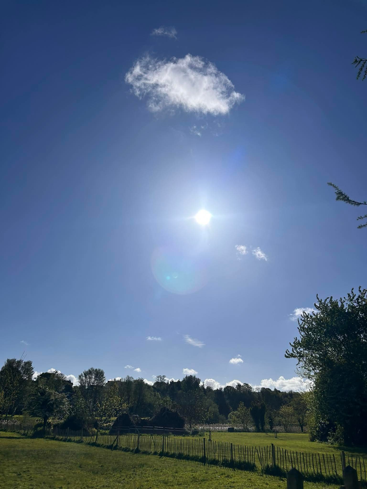 news | Christie parkrun