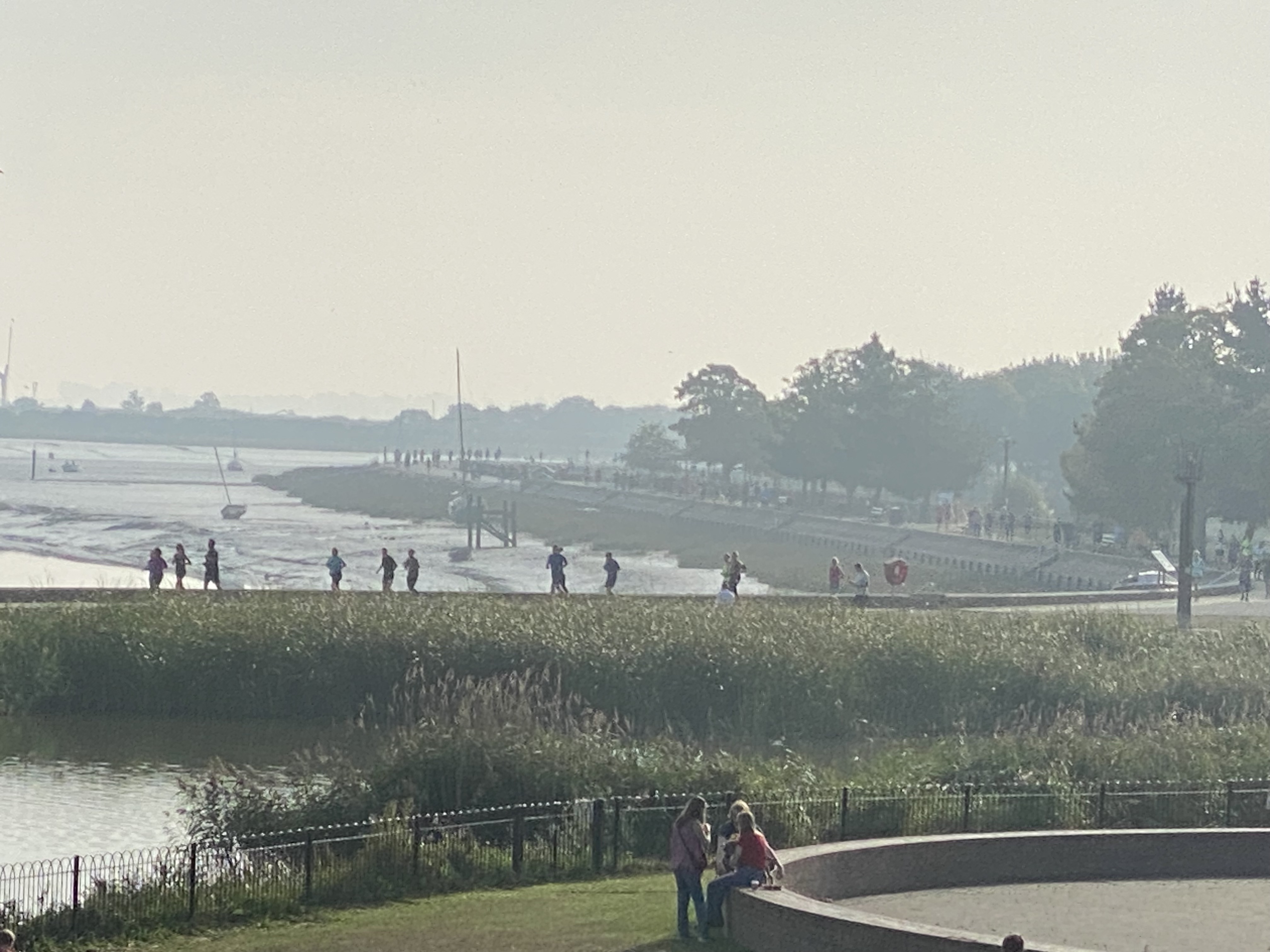 Autumn sun, Autumn fun #455 | Maldon Prom parkrun