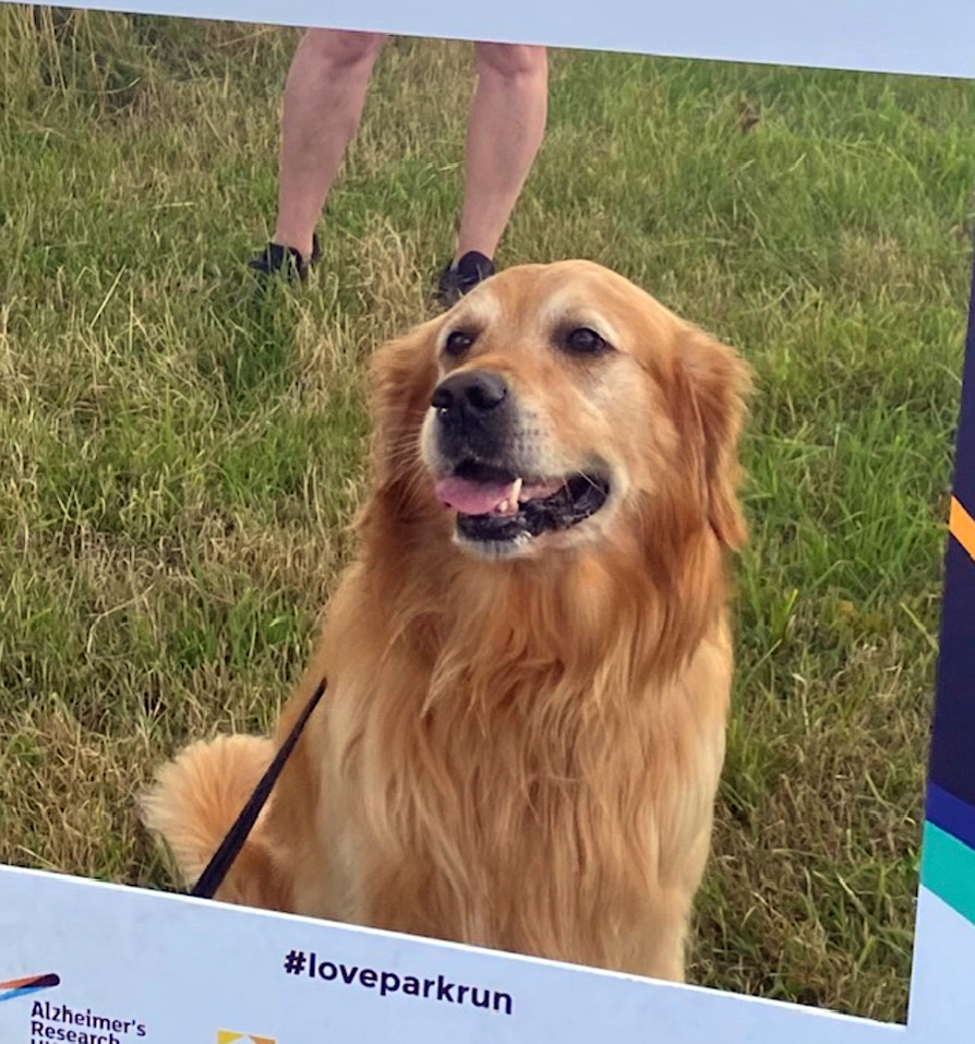 Run Report Event #14: A bow-wow ‘barkrun’ | Fordingbridge Recreation ...